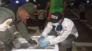 Venezuela exporta más de mil 500 kg de productos pesqueros con destino ...