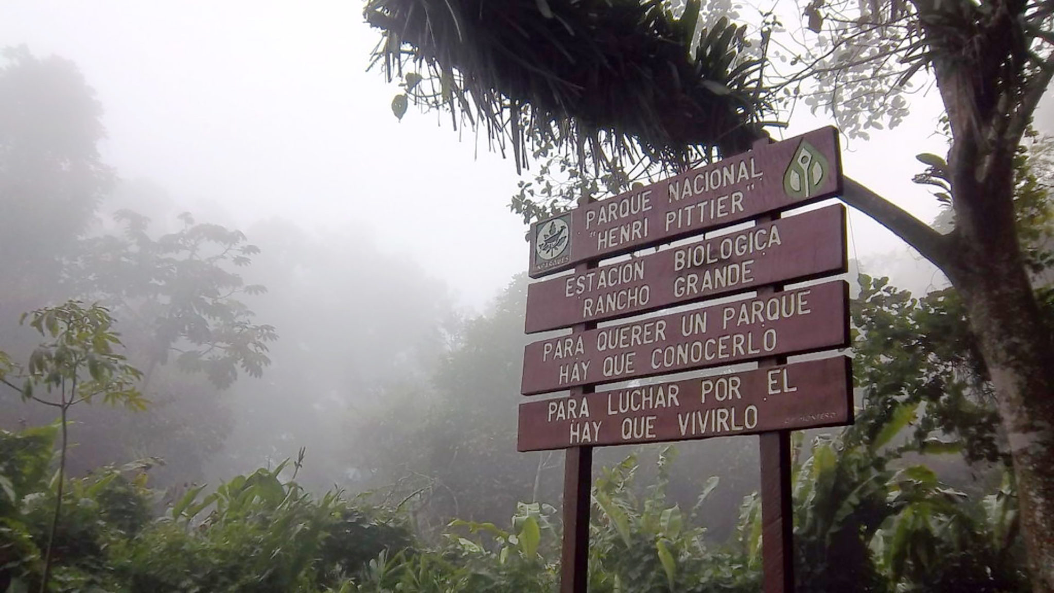 Parque Nacional «Henri Pittier»: El Pulmón Verde de Aragua – Ciudad MCY