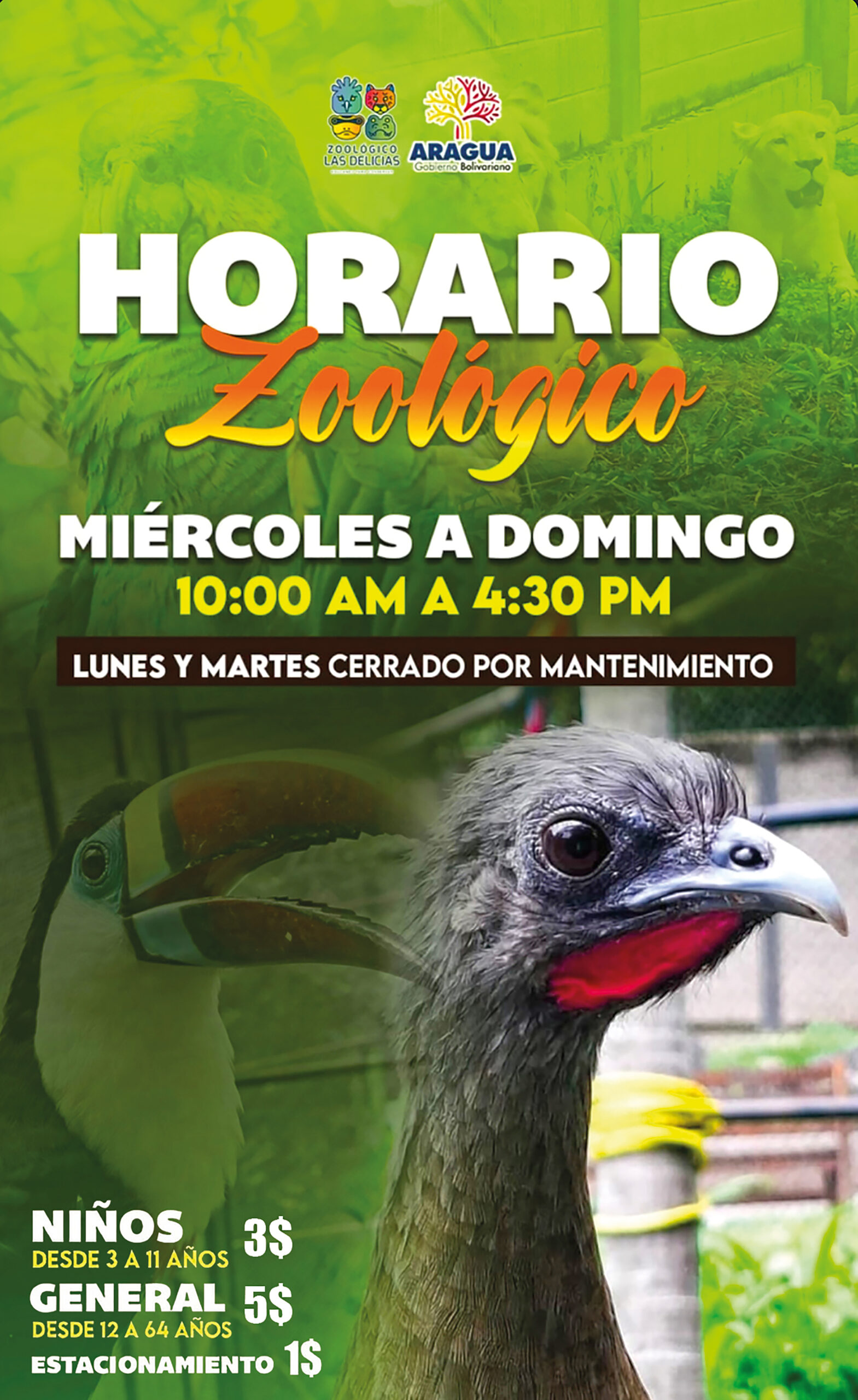 Deportes – Ciudad MCY