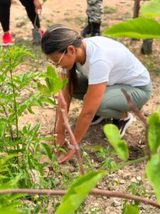 Trabajadores del CMSM reforestan «El Picacho» con siembra de árboles ...